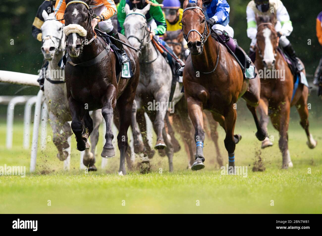 Database feature hi-res stock photography and images - Alamy