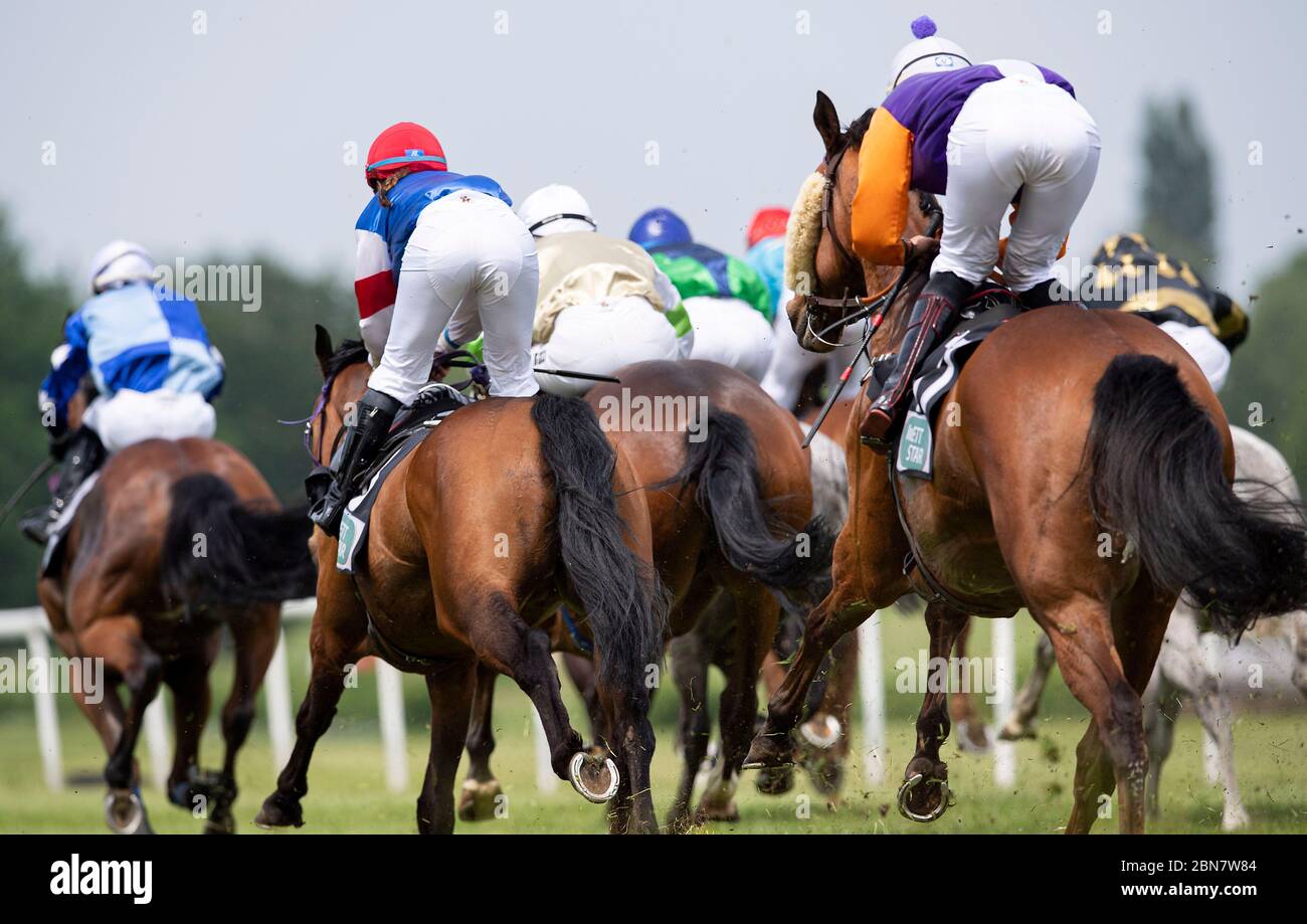Feature, crowd, field in action, photographed from behind, horse racing ...