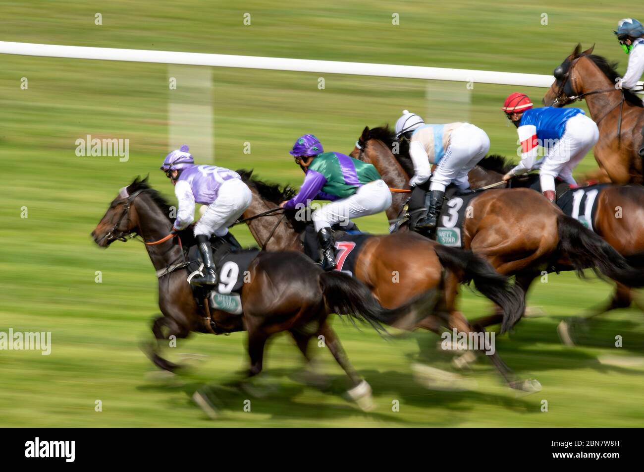 Feature, jockeys on your horses, crowd, field, dynamic, blurred, action ...