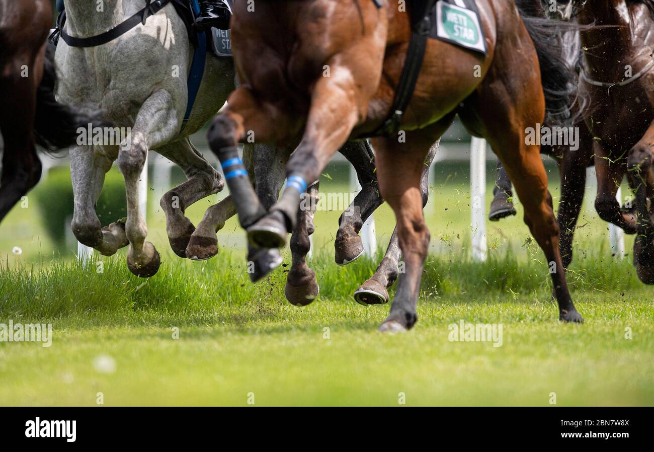 Feature, crowd, field, horses in action, legs, horse racing, race day ...