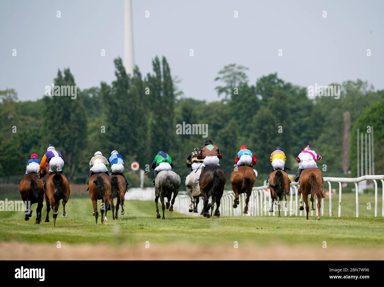 Feature, crowd, field in action, photographed from behind, home stretch ...