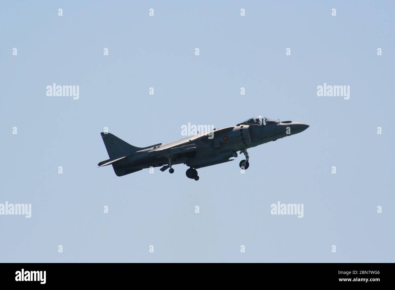 Harrier Flying Backwards