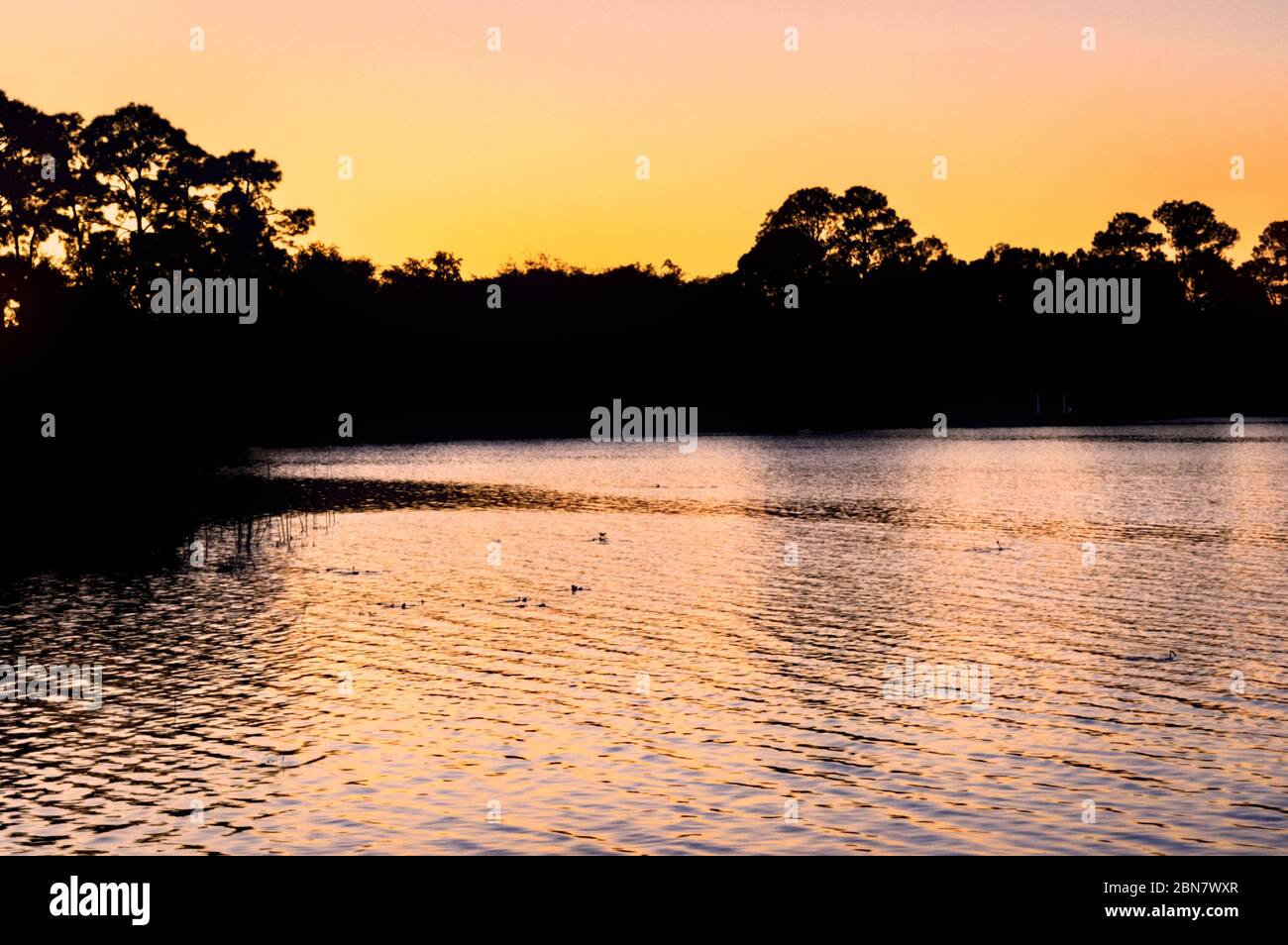 Sun moon lake tea hi-res stock photography and images - Alamy