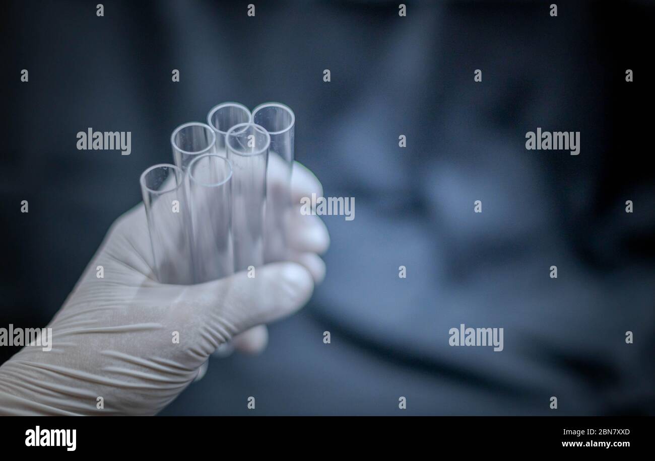 Scientist hand holding test tube and wearing surgical glove preparing ...