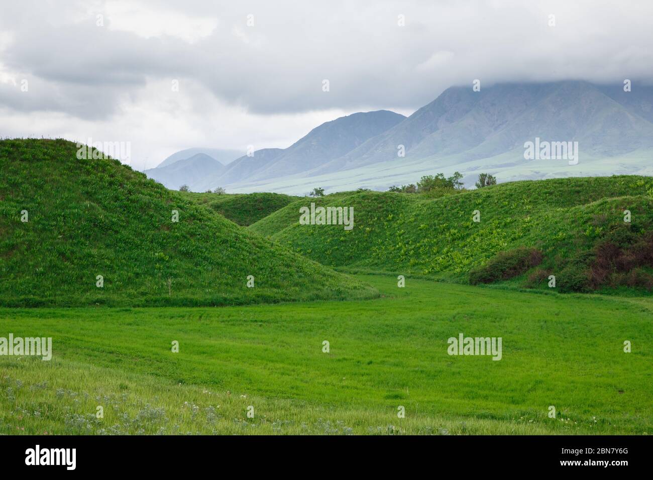 Landscape summer and spring. Bright green grass on the round hills ...
