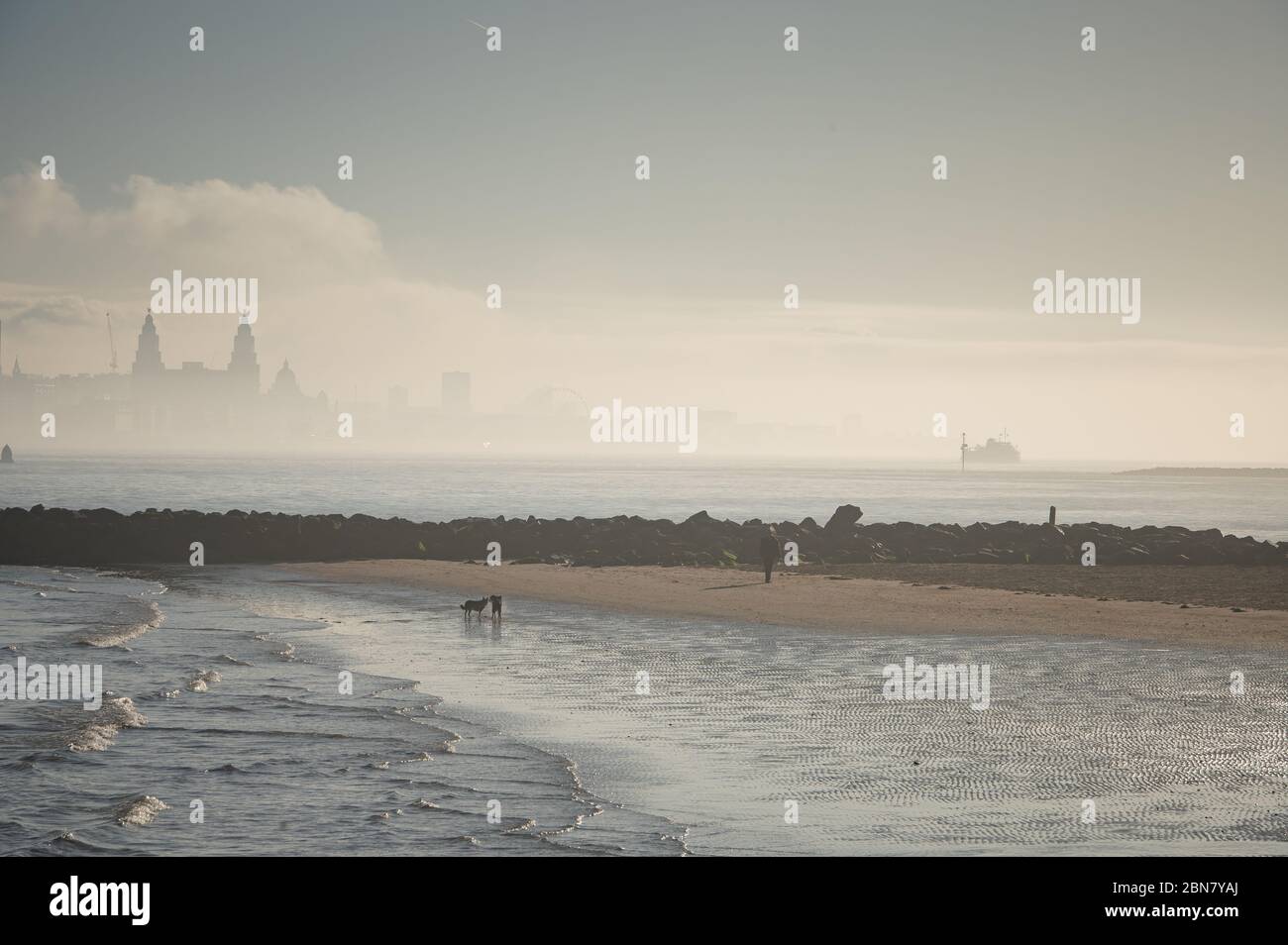 Liverpool liver building in the fog hi-res stock photography and images ...