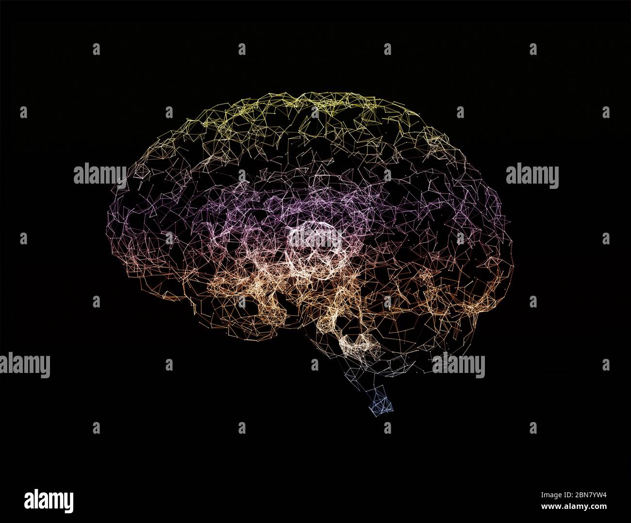 Brain structure hi-res stock photography and images - Alamy