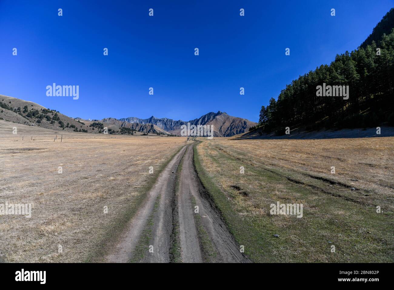 Caucasus, Georgia, Tusheti region, Shenako. A trail at the entrance of ...