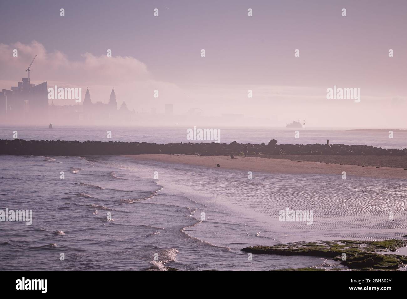 Liverpool liver building in the fog hi-res stock photography and images ...