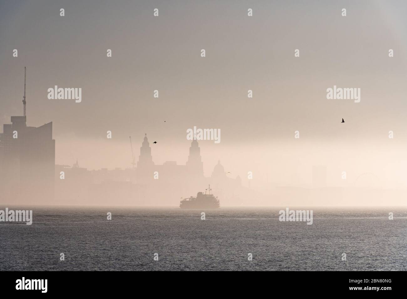 Liverpool liver building in the fog hi-res stock photography and images ...