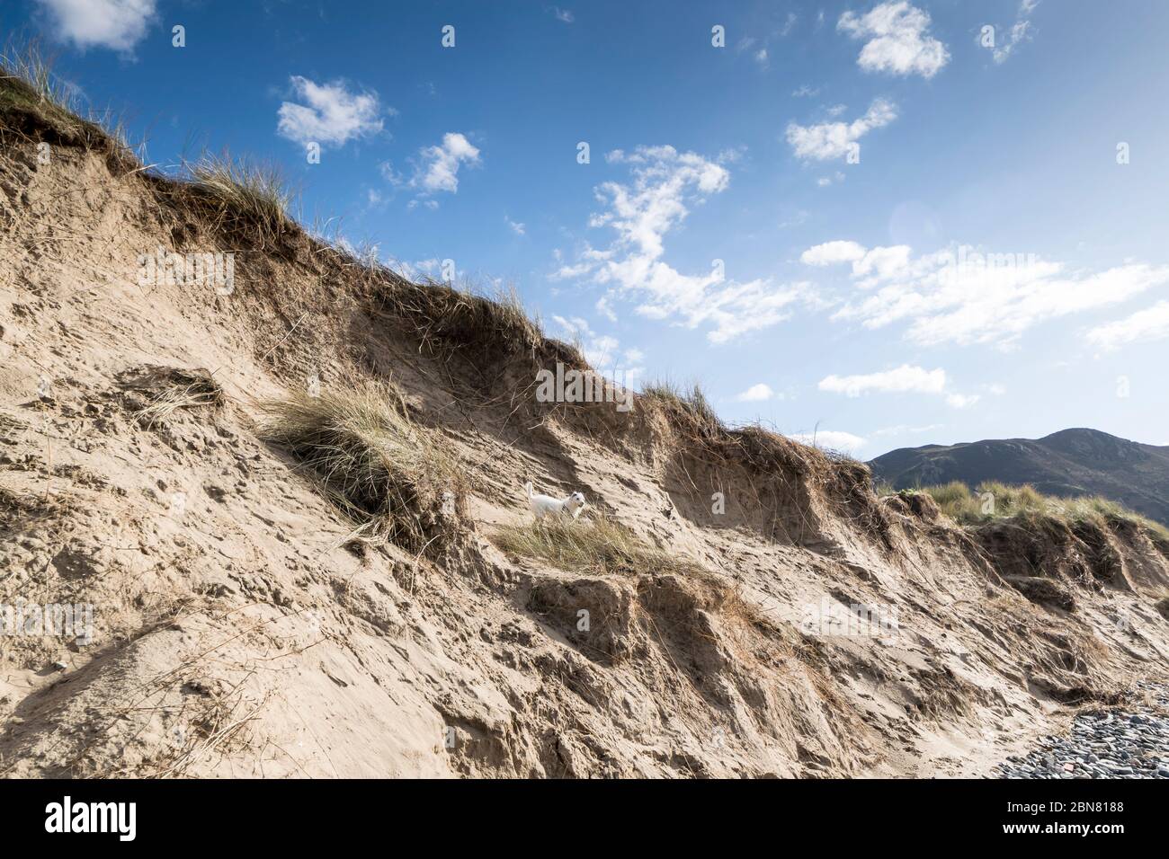 Conwy Morfa beach on the North Wales coast Stock Photo - Alamy