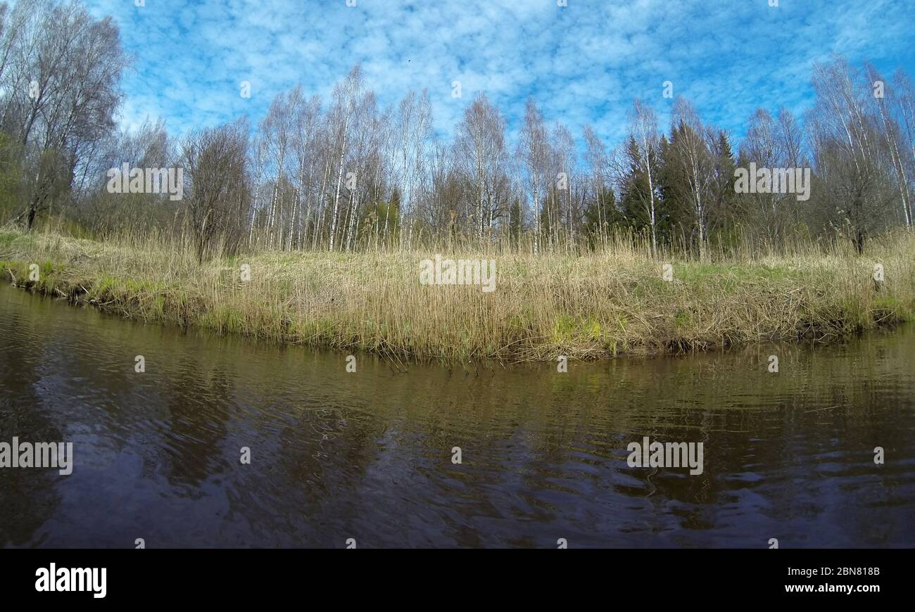 spring landscape on the river, old reeds along the shore and the first ...