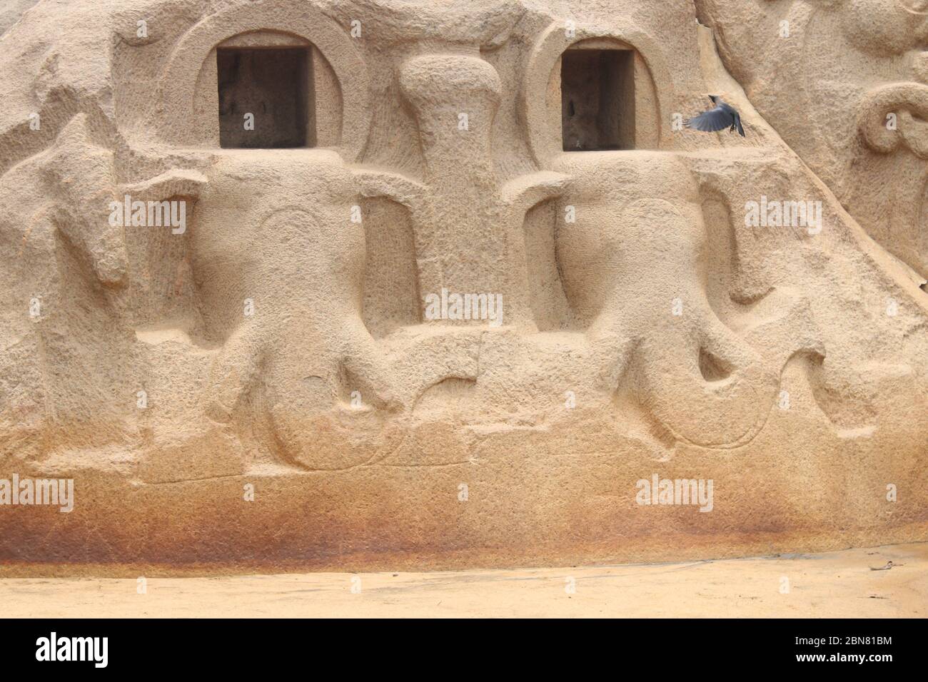 Tiger Caves High Resolution Stock Photography and Images - Alamy