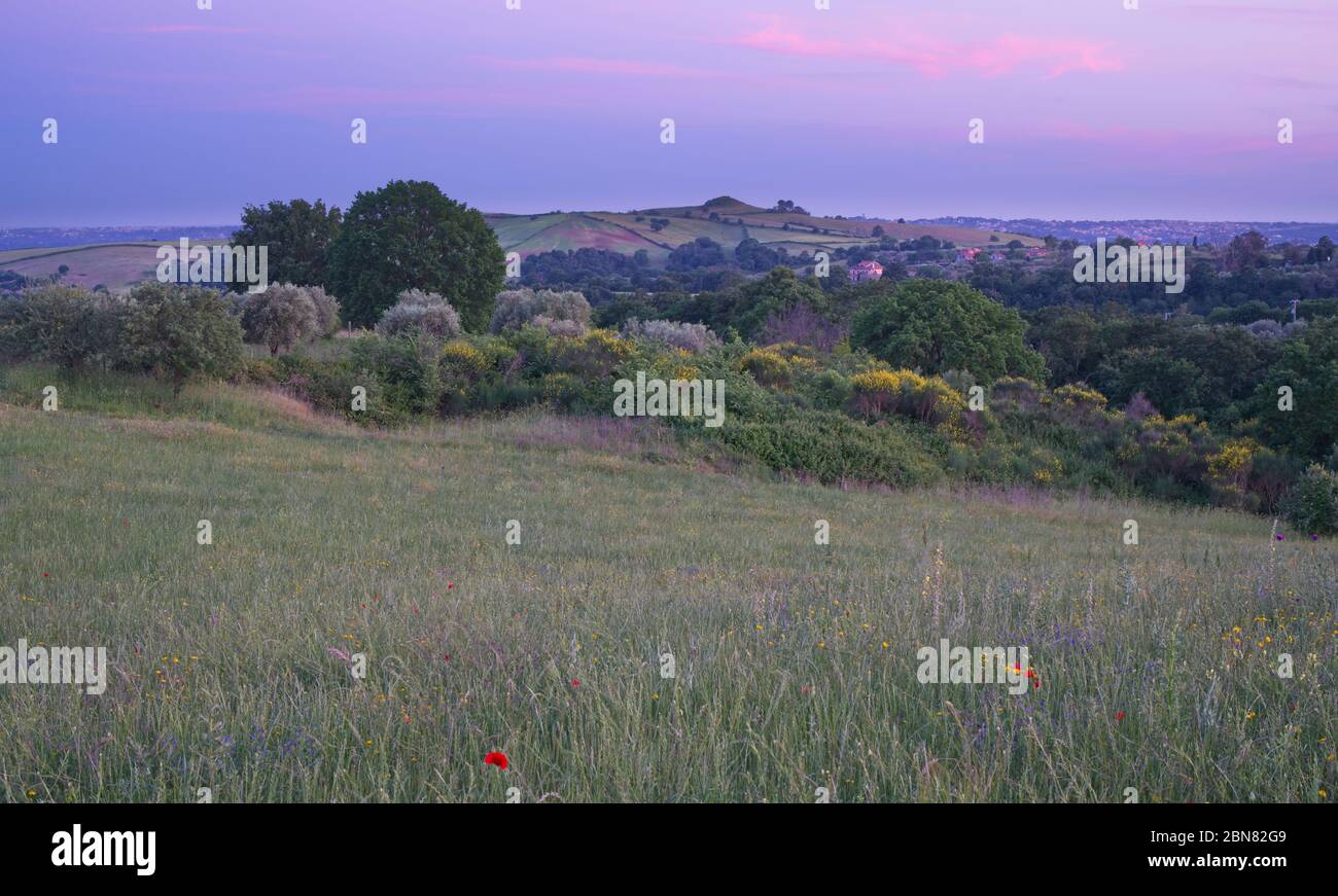 Parco di Veio, a regional park in the province of Rome at twilight ...