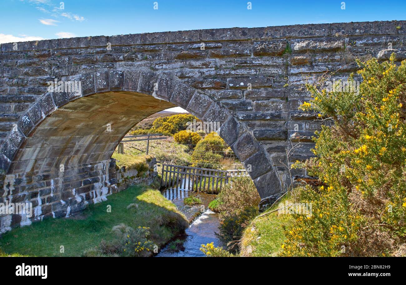 DAVA WAY TRAIL MORAY SCOTLAND STREAM AND OLD SHEEP DIP AREA UNDER THE ...