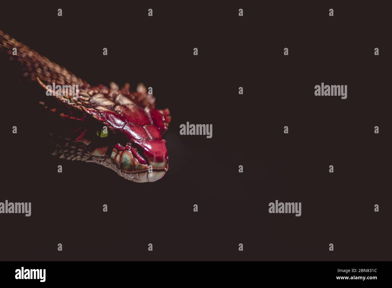 Closeup of a scary red snake with horns under the lights against a dark ...