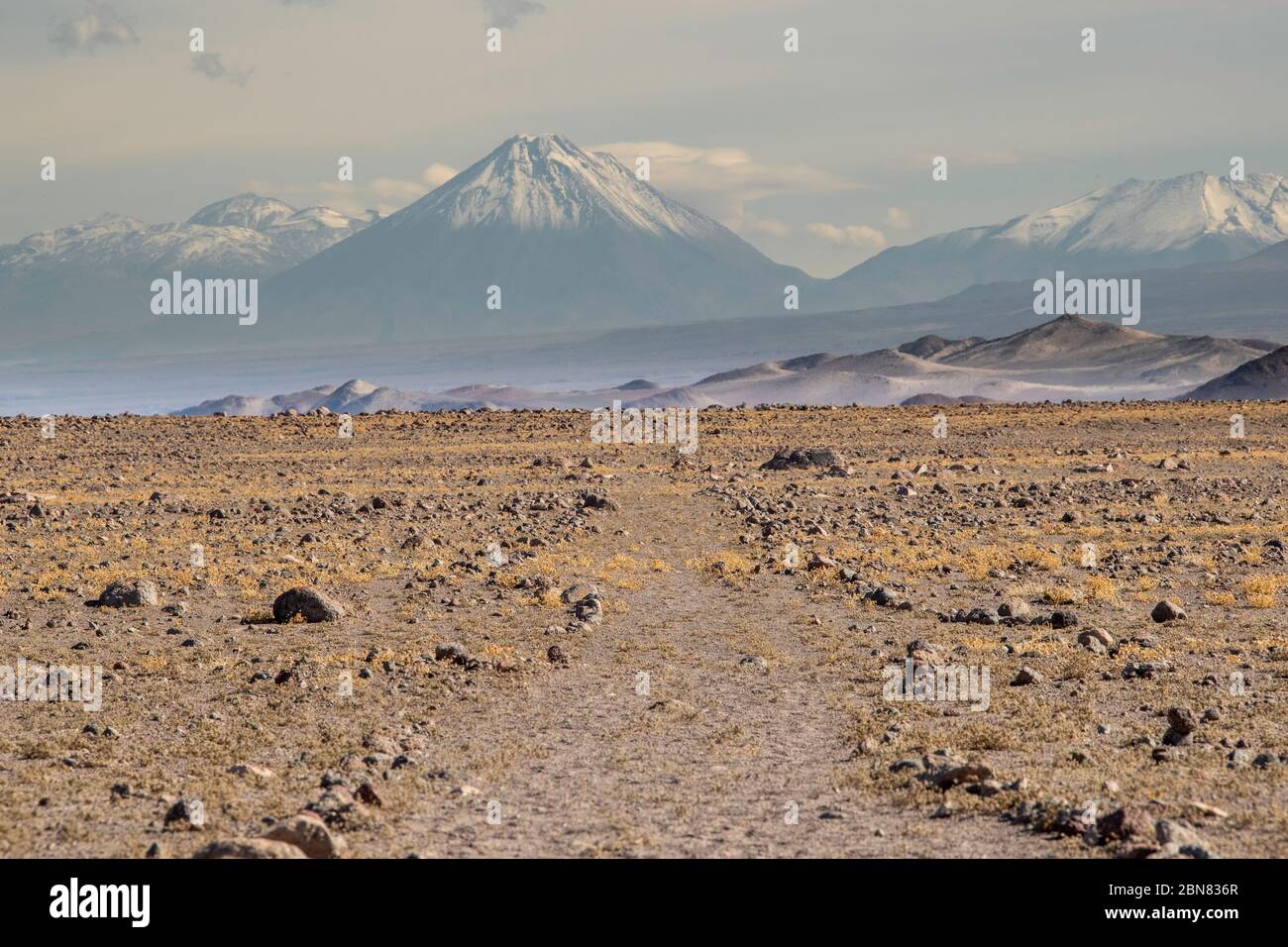 The iInca trail, leading towards Lascar Volcano, Anotfagusta region ...