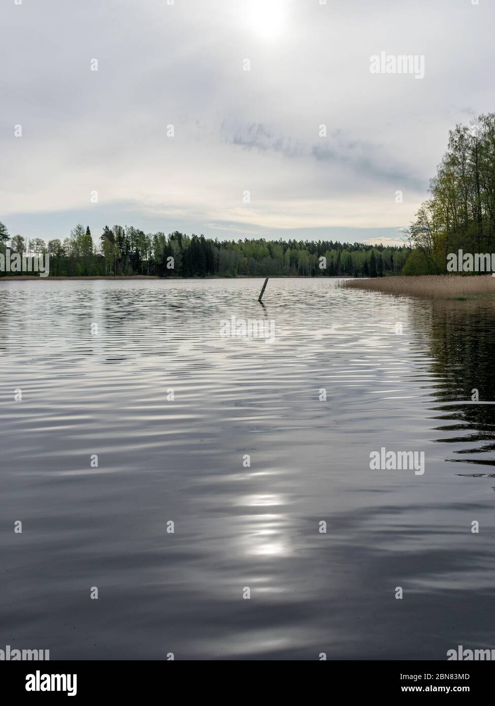 landscape with calm water, beautiful reflections, forest silhouette on ...