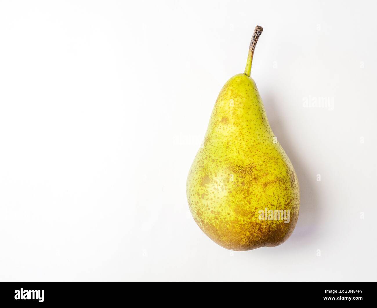 A whole conference pear on a white background with copy space Stock ...