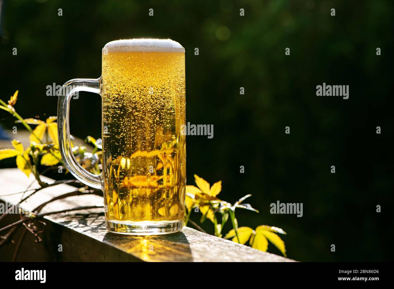 Glass of beer on summer terrace Stock Photo - Alamy