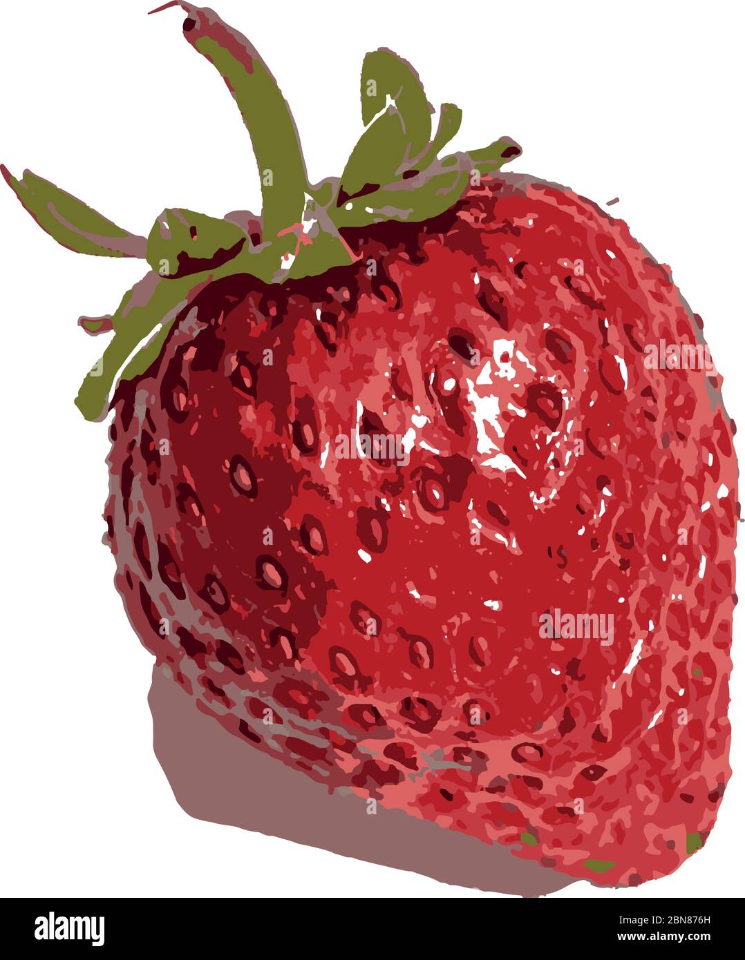 Strawberry seeds up close Stock Vector Images - Alamy