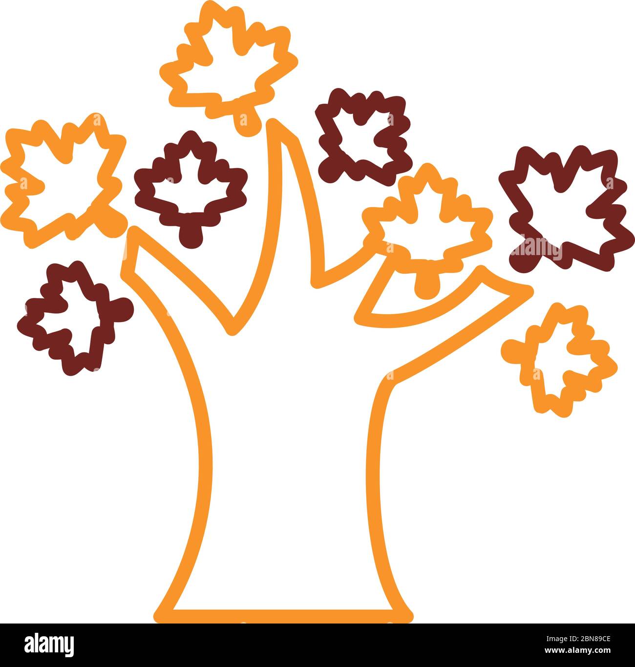 maple tree and leafs canadian line style Stock Vector Image & Art - Alamy