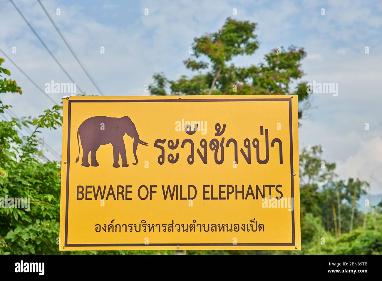 Beware elephants hi-res stock photography and images - Alamy