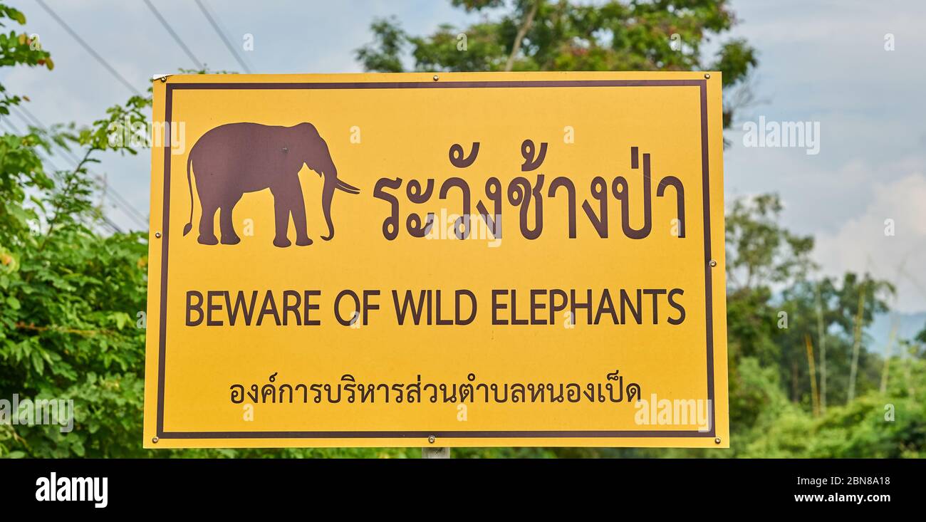A road sign warning of wild elephants, taken in Kanchanaburi, Thailand ...