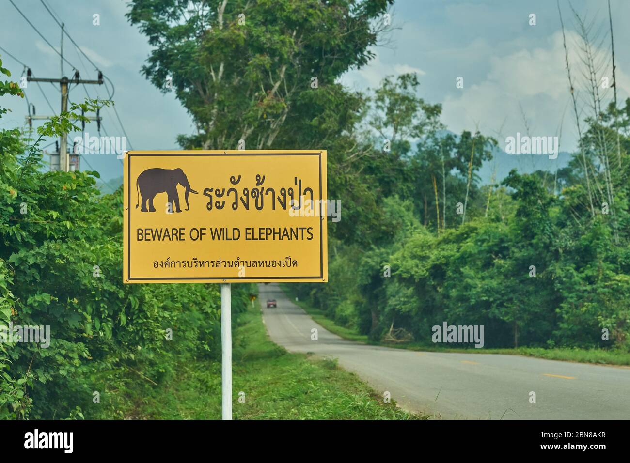 Warning sign elephants hi-res stock photography and images - Alamy