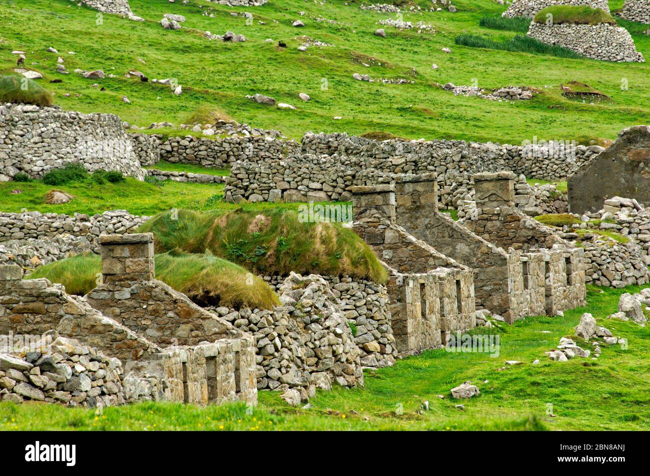 Ruins of last residents houses and storage huts on Island of Hirta, St ...