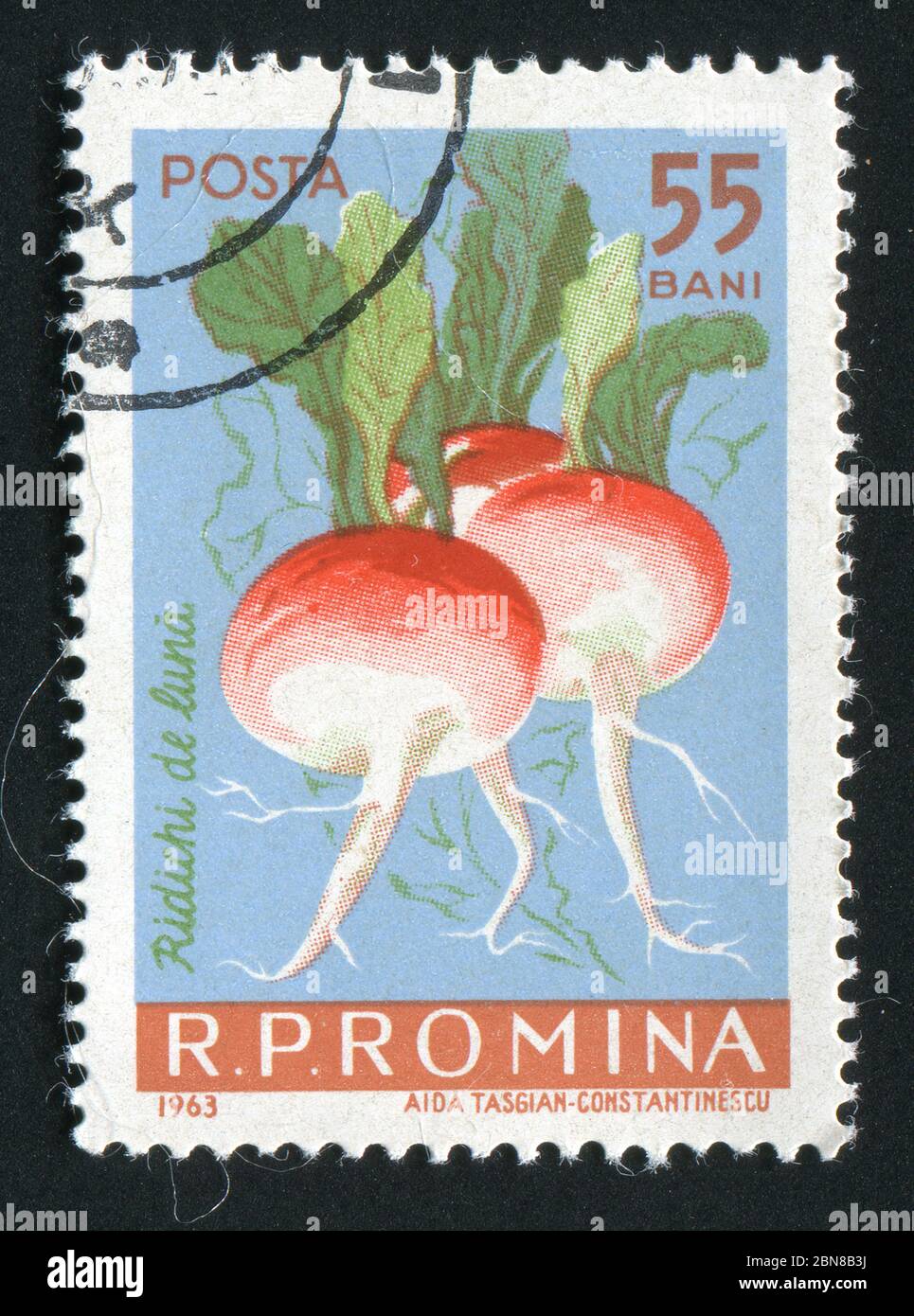 ROMANIA -CIRCA 1963: The radish is an edible root vegetable of the ...