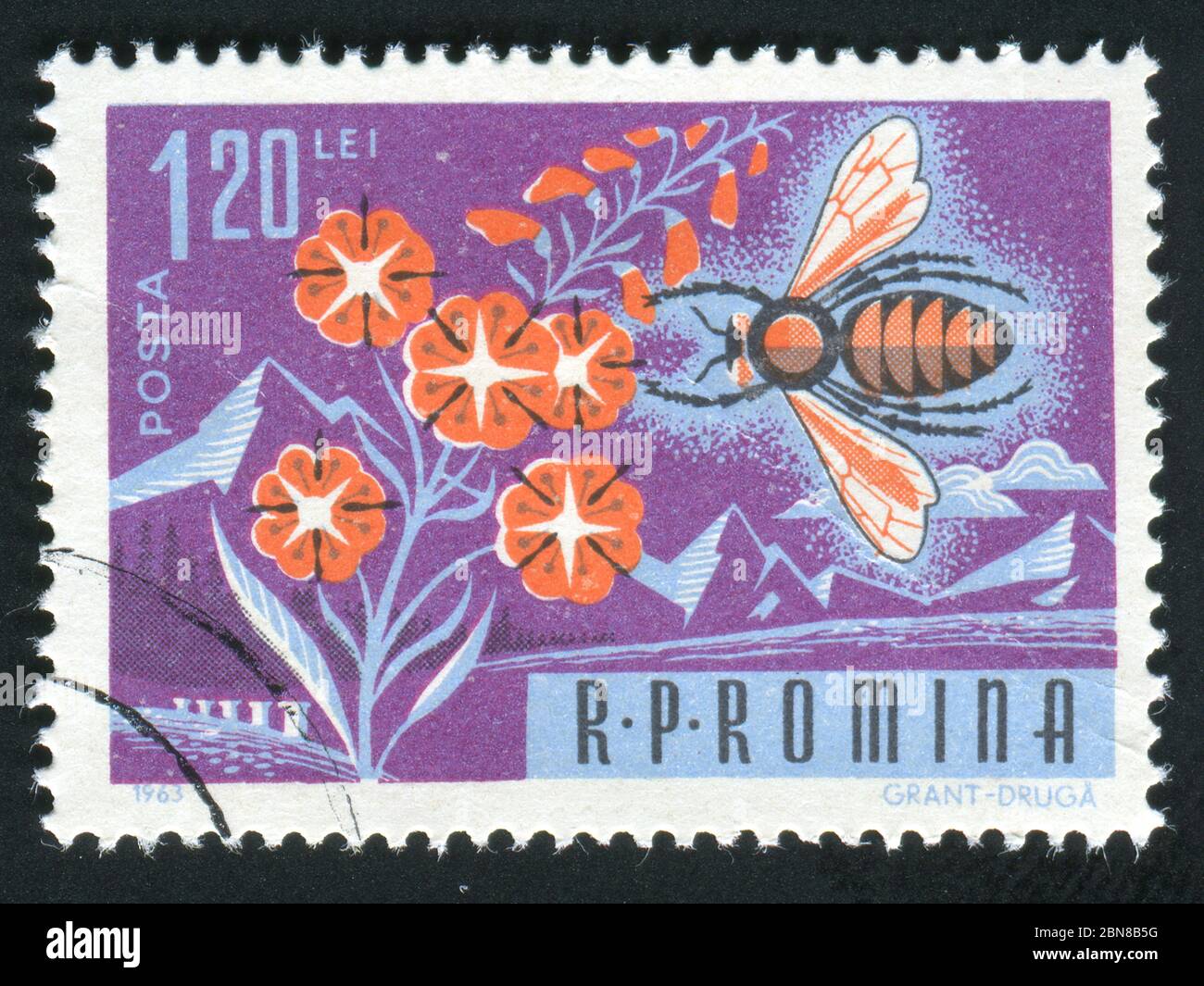 ROMANIA -CIRCA 1963: Bees are flying insects closely related to wasps ...