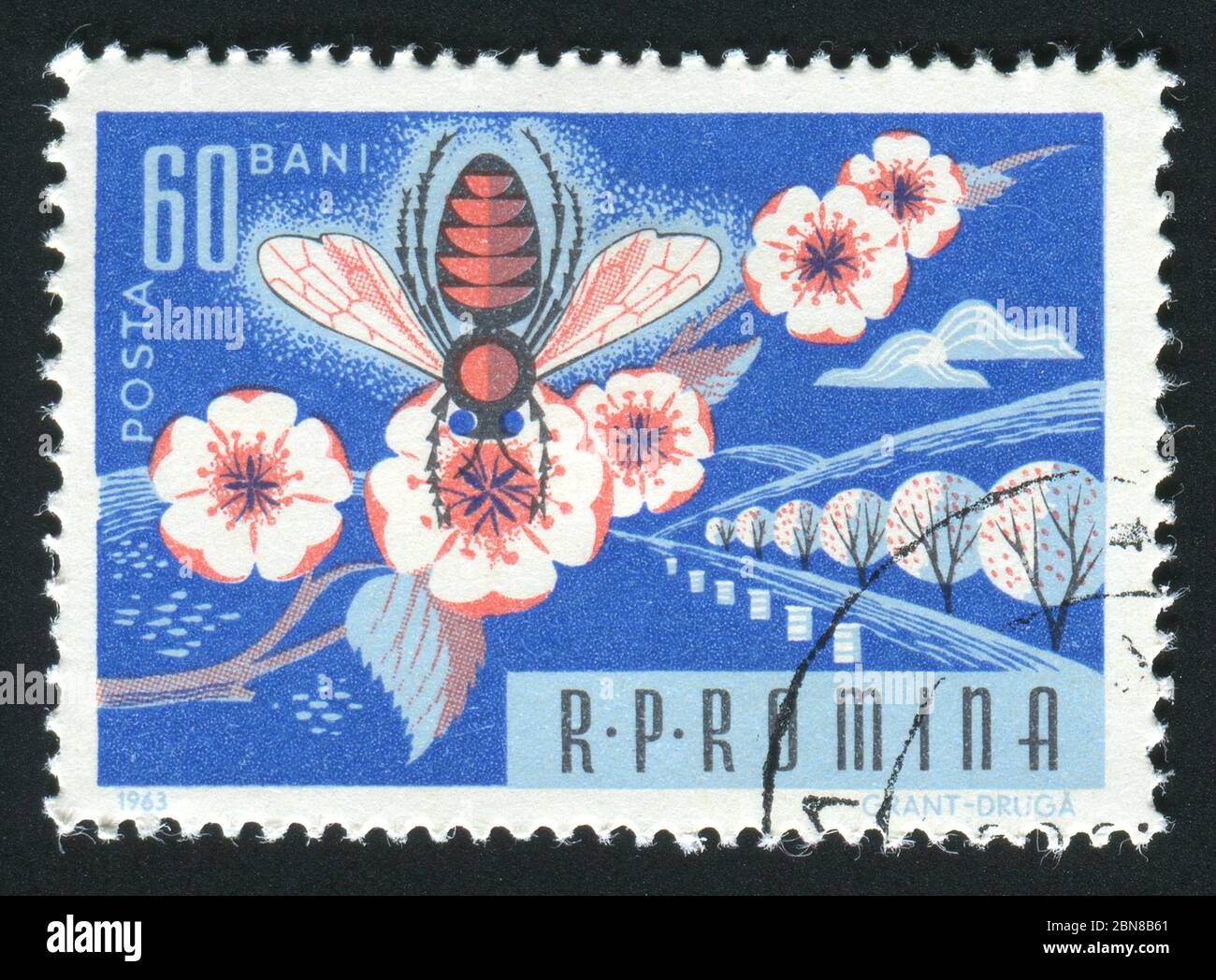 ROMANIA -CIRCA 1963: Bees are flying insects closely related to wasps ...