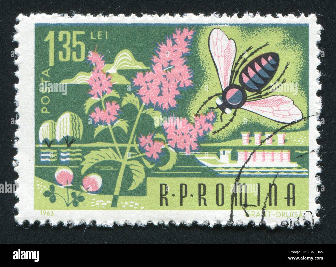ROMANIA -CIRCA 1963: Bees are flying insects closely related to wasps ...