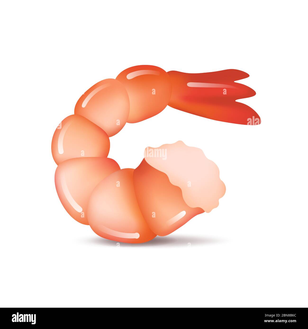 Realistic shrimp icon in flat style, fresh sea food Stock Vector Image ...