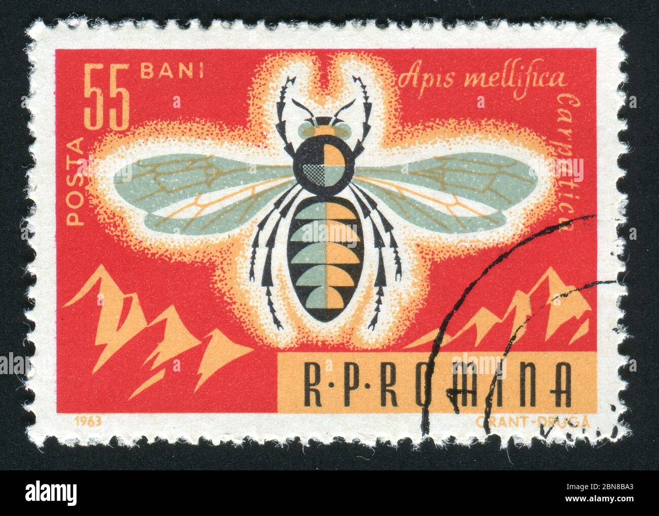 ROMANIA -CIRCA 1963: Bees are flying insects closely related to wasps ...