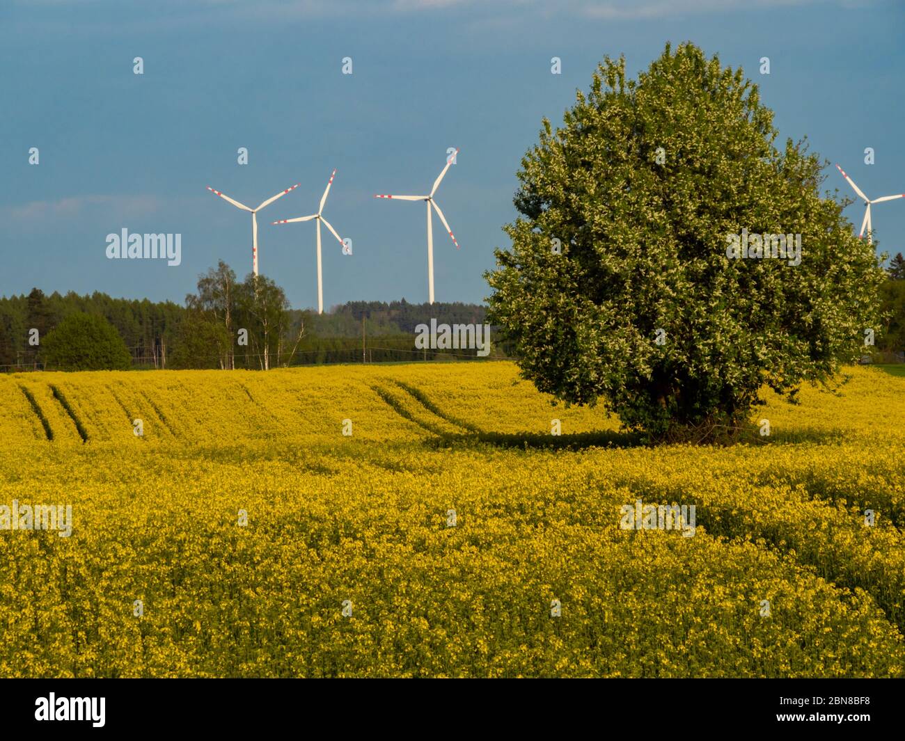 yellow windmills Paper & Party Supplies etna.com.pe