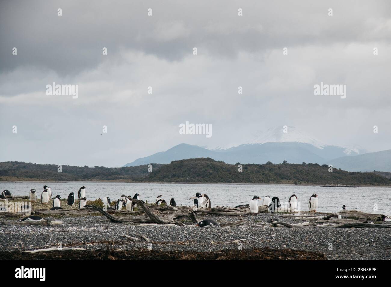 El martillo hi-res stock photography and images - Alamy