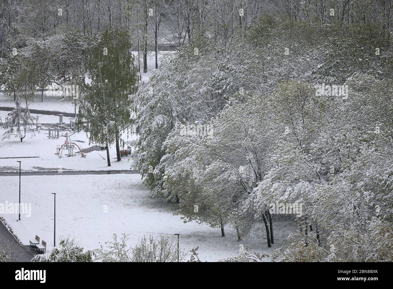 Kaunas Lithuania. Snow on May 12 morning in Kaunas. Object name:weather ...