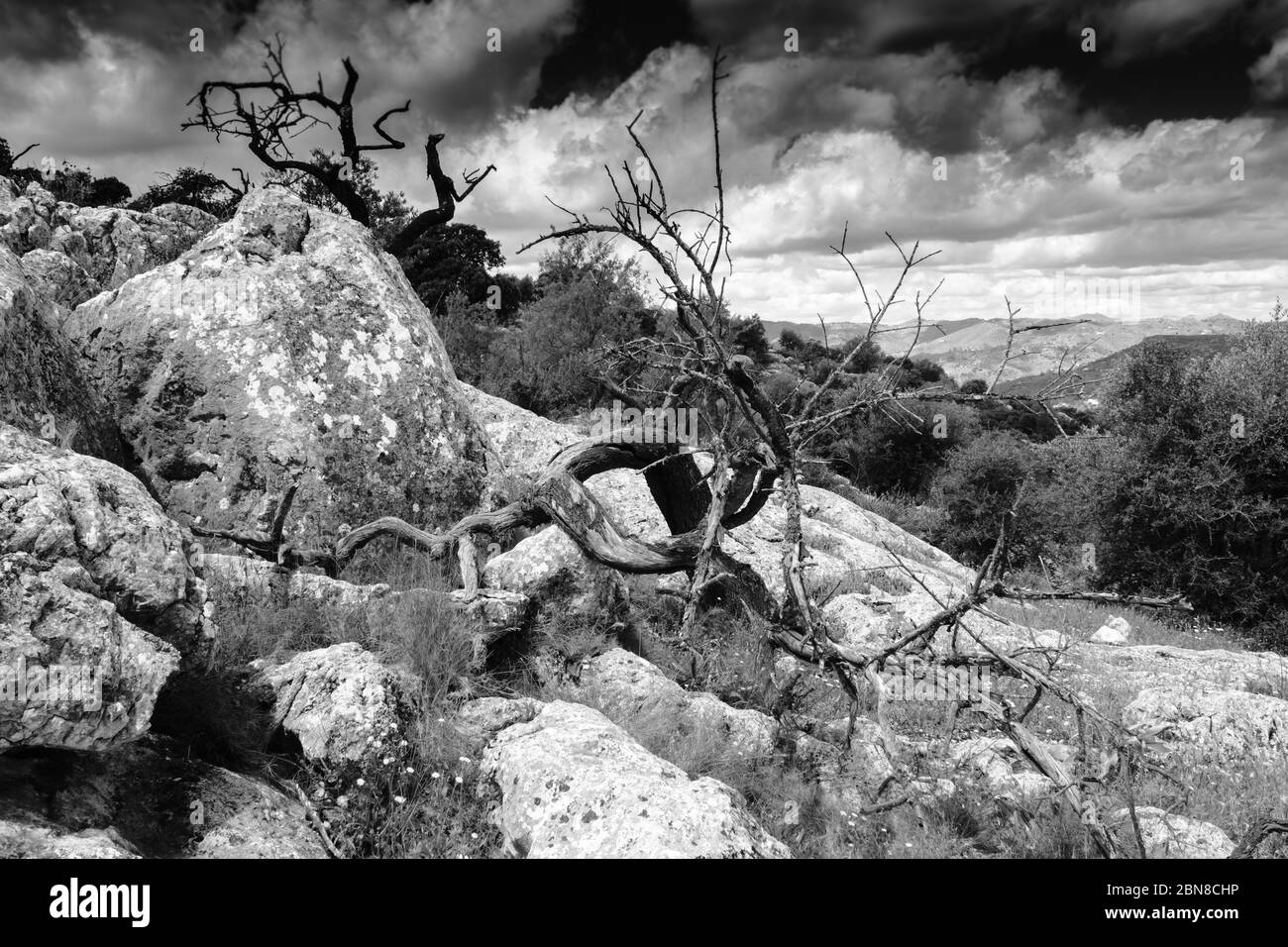 Black and White images of Axarquia countryside around Comares, Axarquia ...