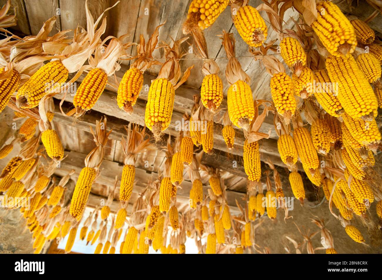 Driying hi-res stock photography and images - Alamy