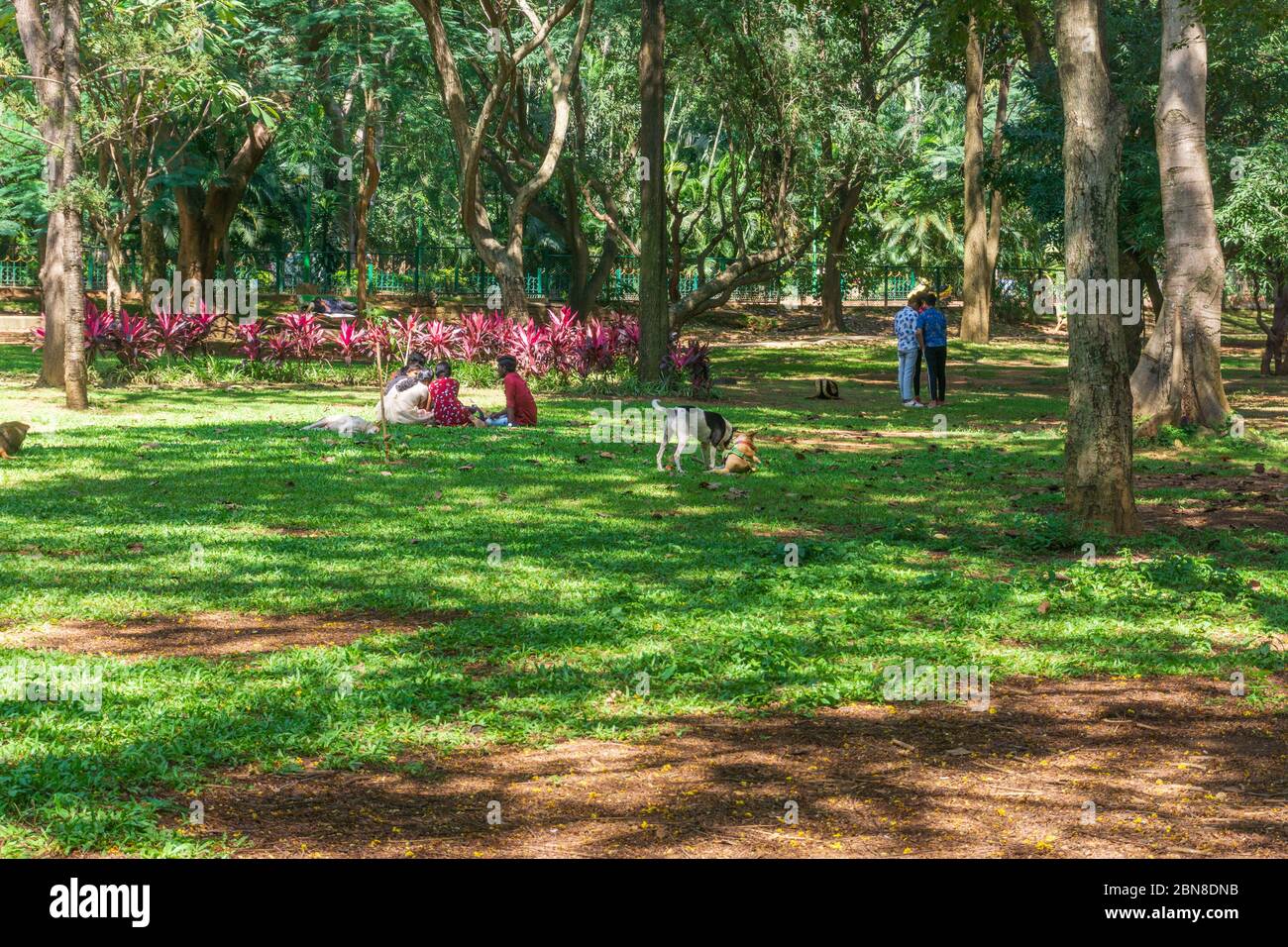 Cubbon park bengaluru hi-res stock photography and images - Alamy