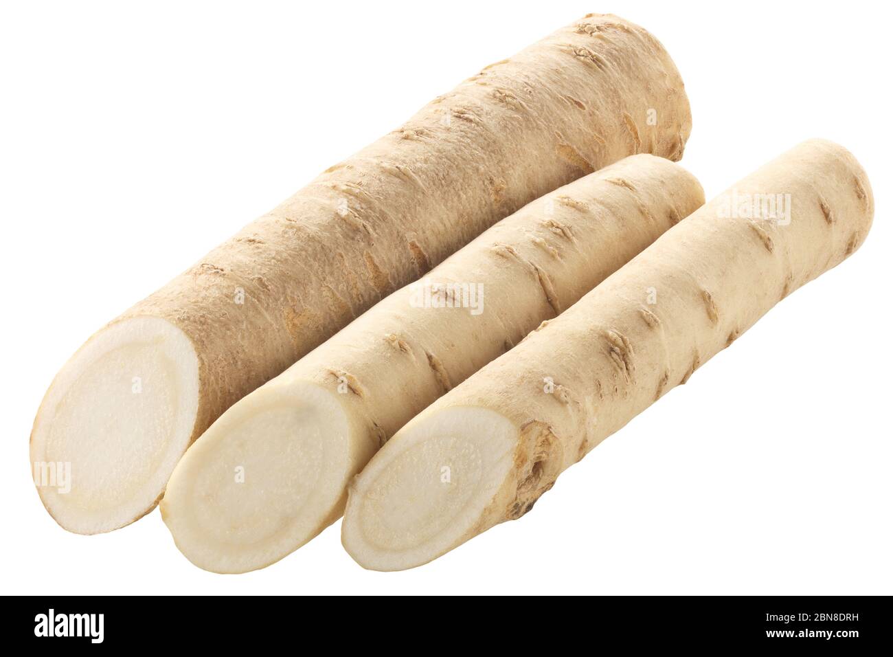 Cut Horseradish roots (Armoracia rusticana taproot), isolated Stock ...