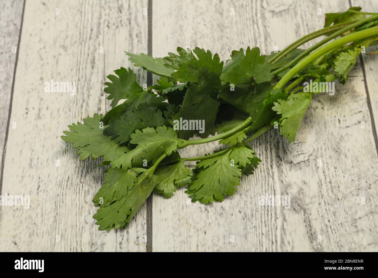 Fresh ripe Green cilantro leaves spice Stock Photo - Alamy