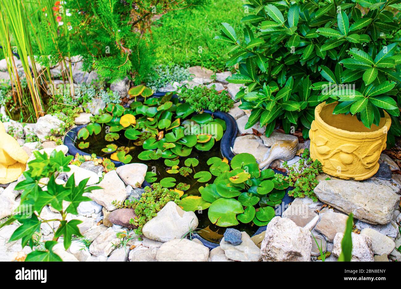 Decorative plants in landscape design Stock Photo - Alamy