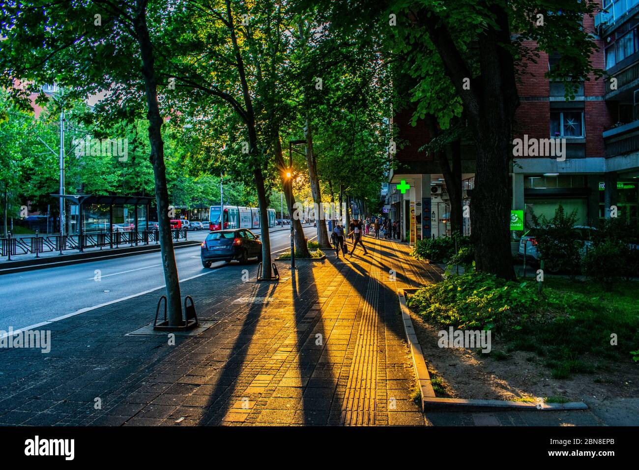 Car shadow road hi-res stock photography and images - Alamy
