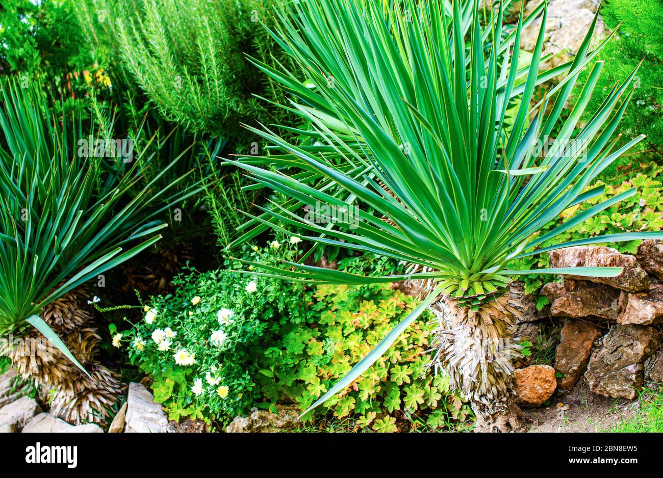 Landscape design plan hi-res stock photography and images - Alamy