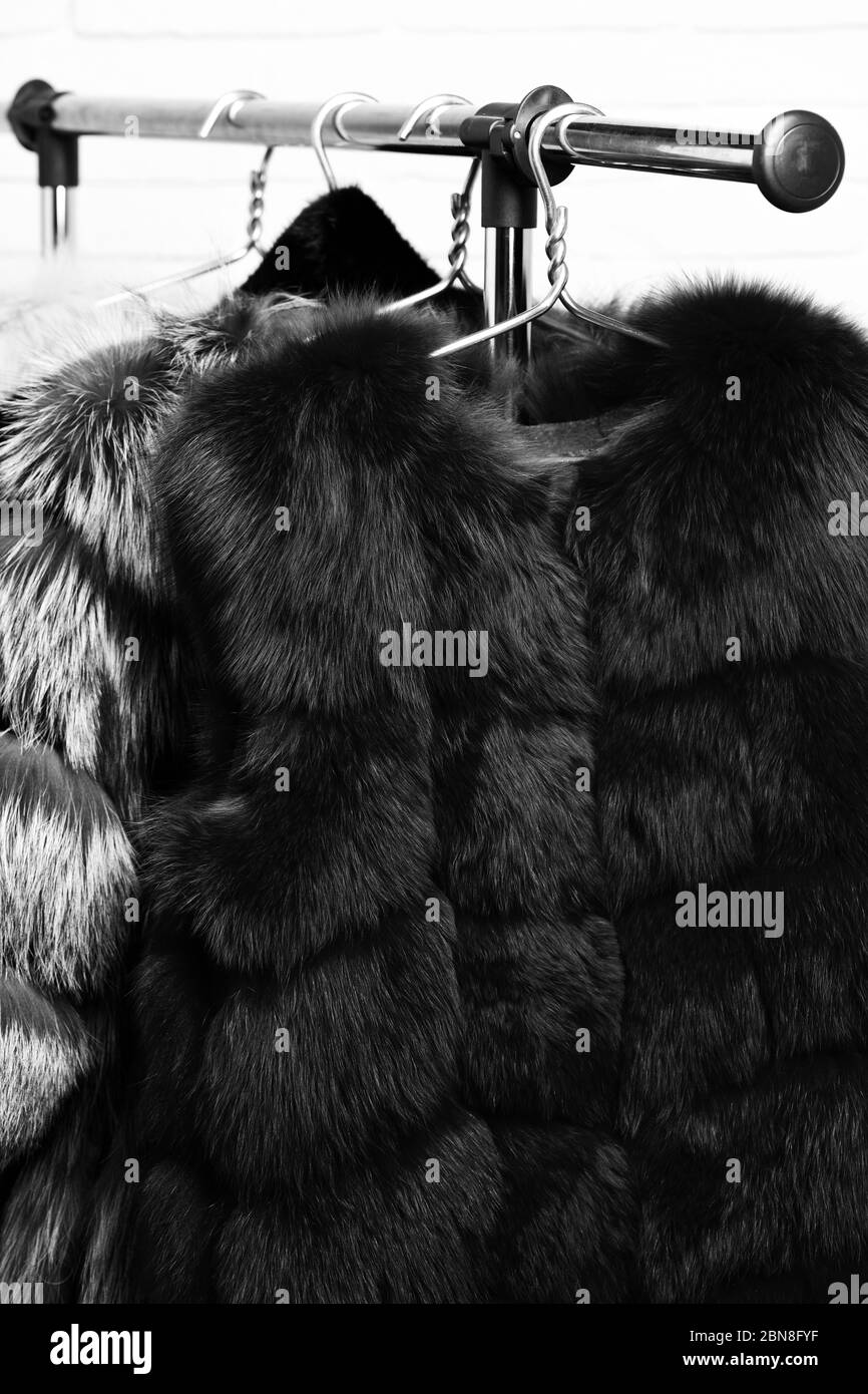 fashionable luxurious waist coats of fur hanging on rack on golden ...