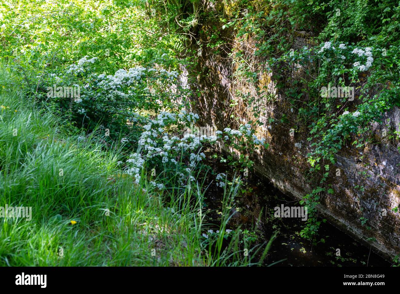 The Thames Path is a National Trail following the River Thames from its ...