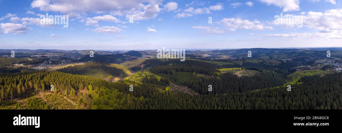 evening forest landscape from above high definition panorama Stock ...